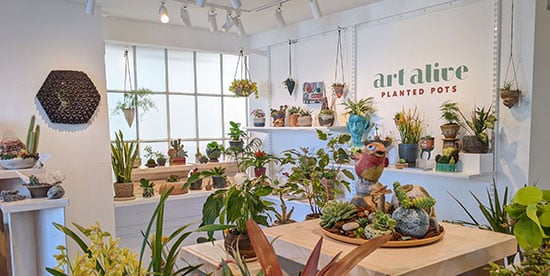 Vinyl Lettering Testimonial #6175