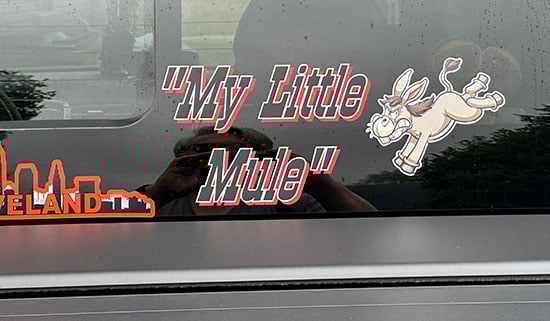 Vinyl Lettering Testimonial #6291 by Mike